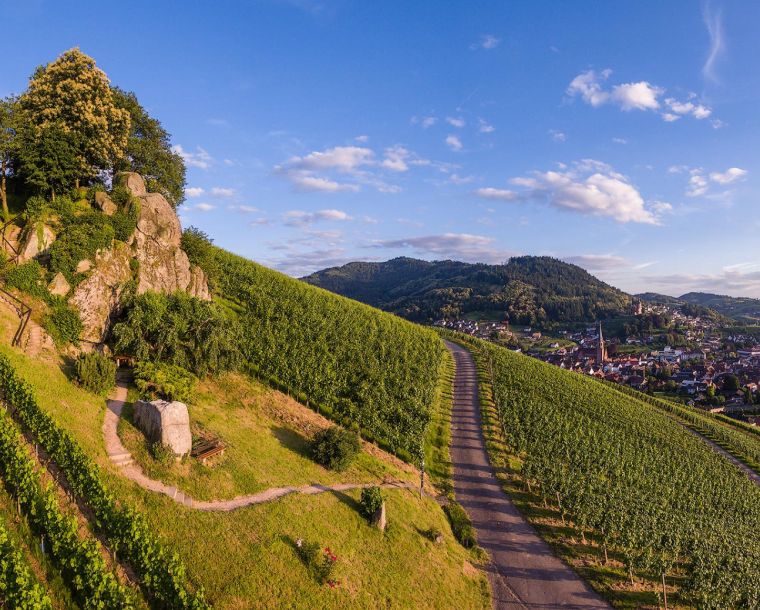 Ortenauer Weinpfad - Weinparadies Ortenau