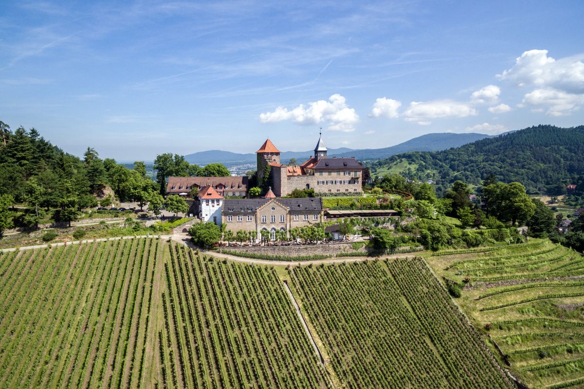 Gernsbach - Weinparadies Ortenau