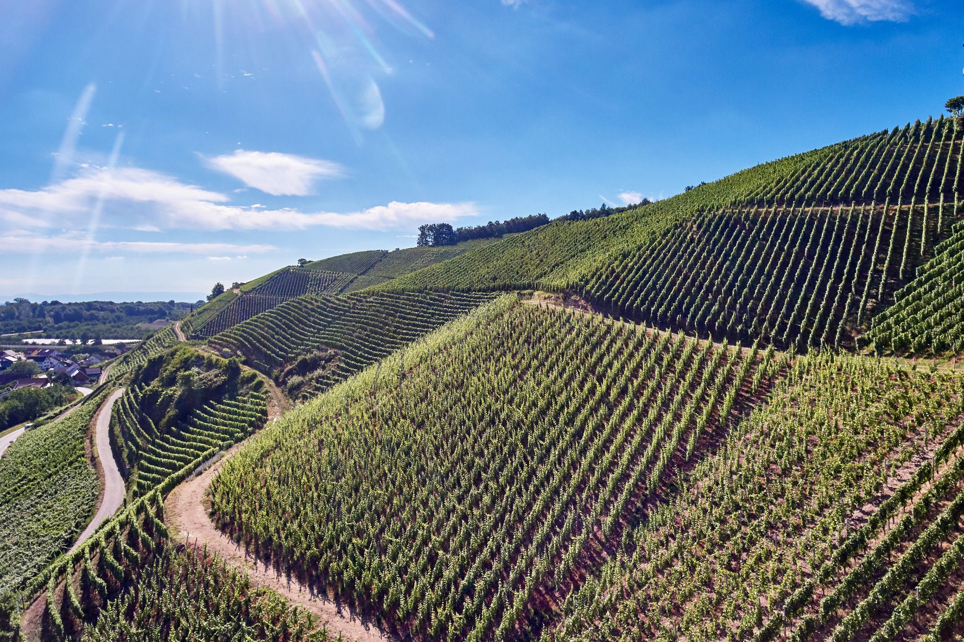 Weingut Andreas Laible - Weinparadies Ortenau