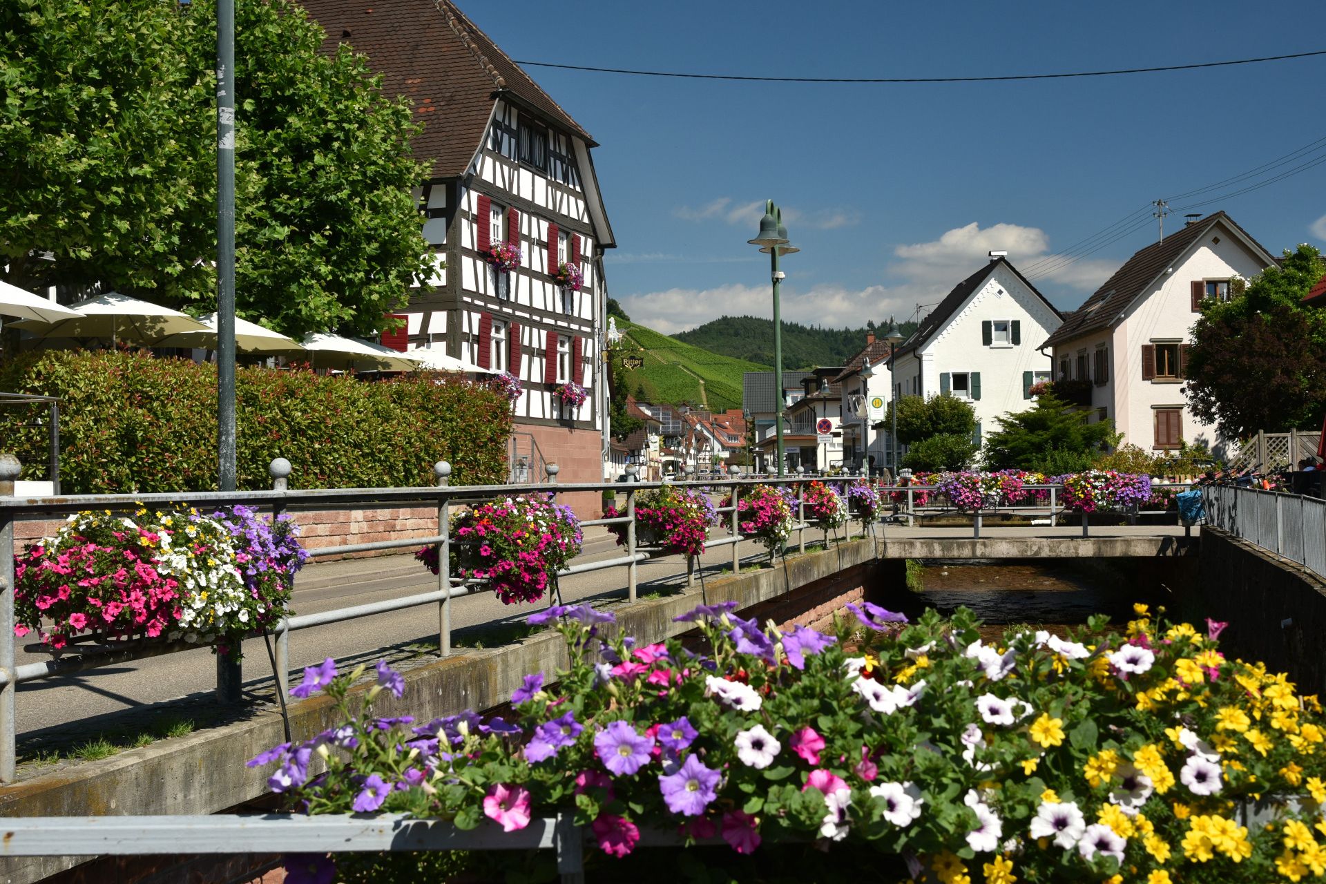 Durbach - Weinparadies Ortenau