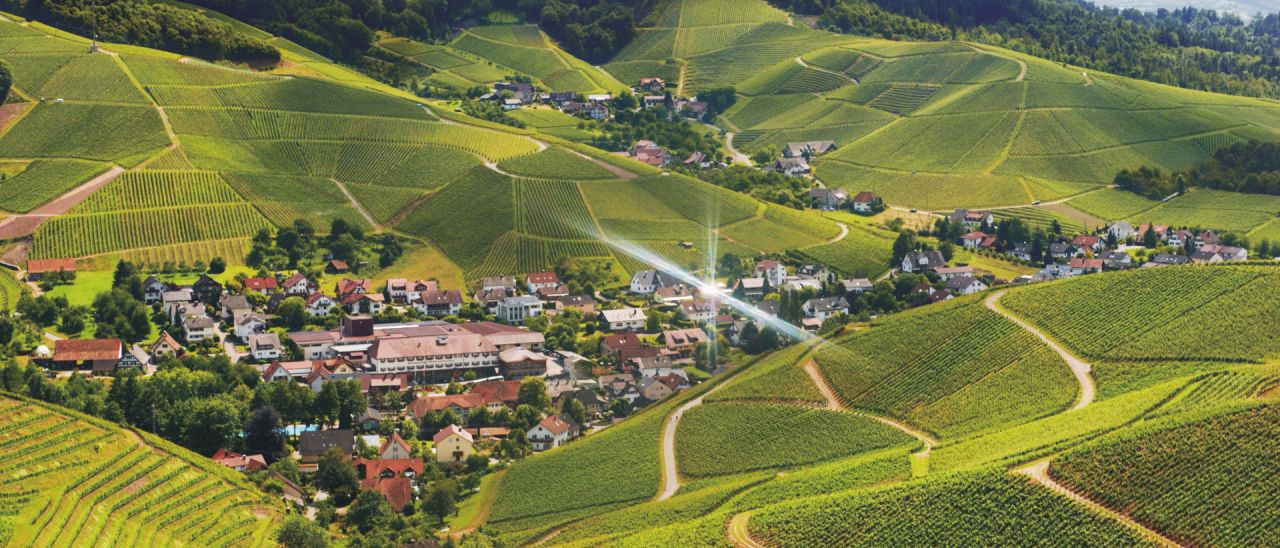 Durbacher Winzer eG - Weinparadies Ortenau