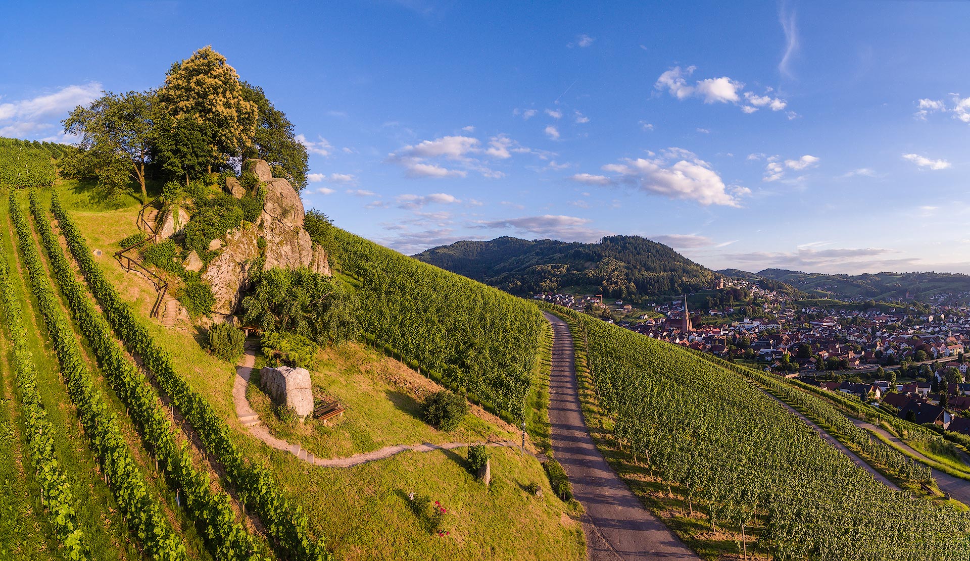 Kappelrodeck / Waldulm - Weinparadies Ortenau